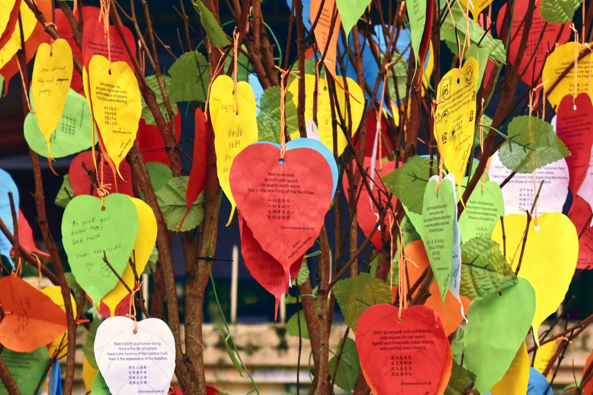 Verse Of The Day Psalm 145 2